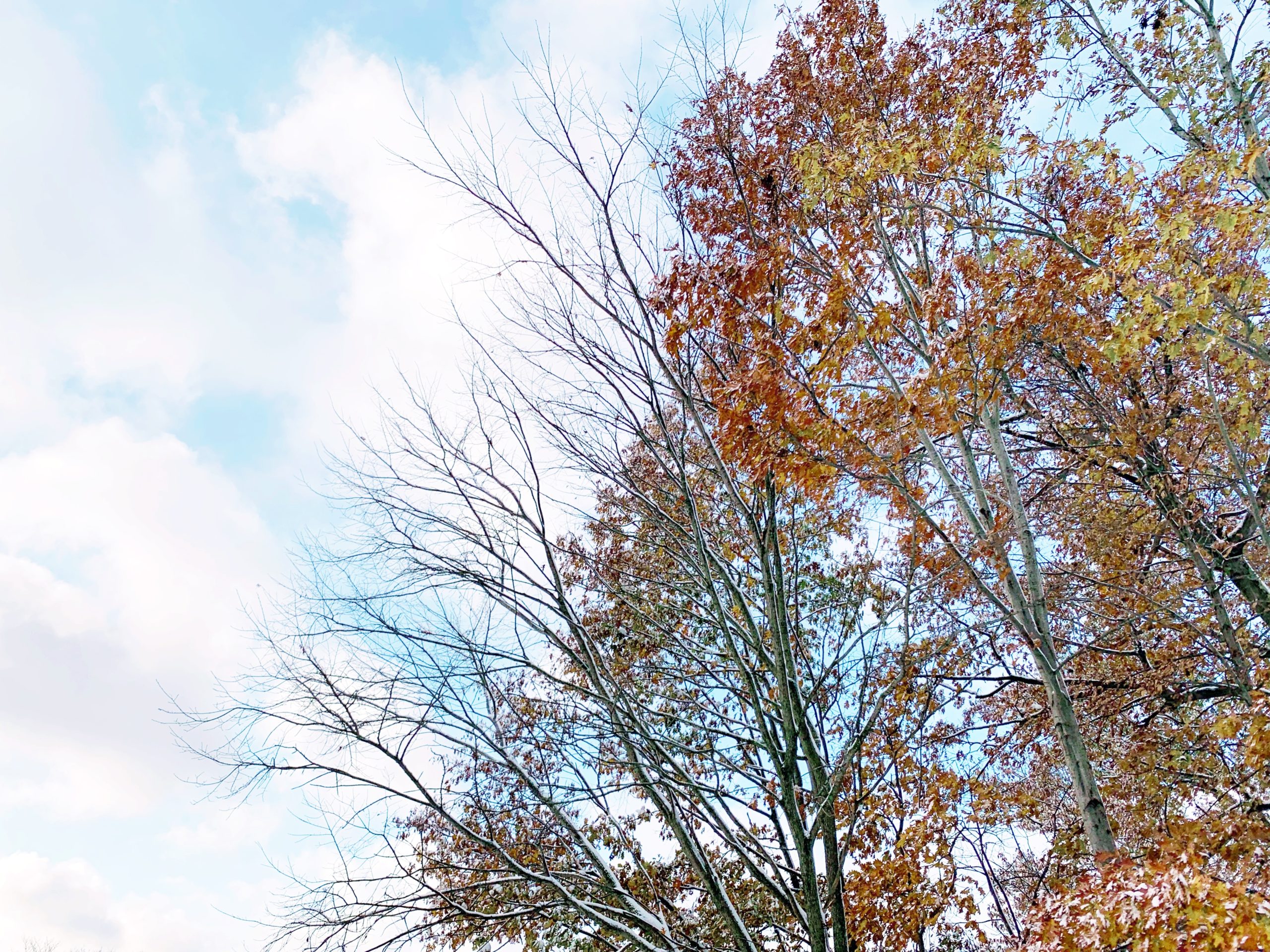 cuyahoga valley national park | National Parks Family