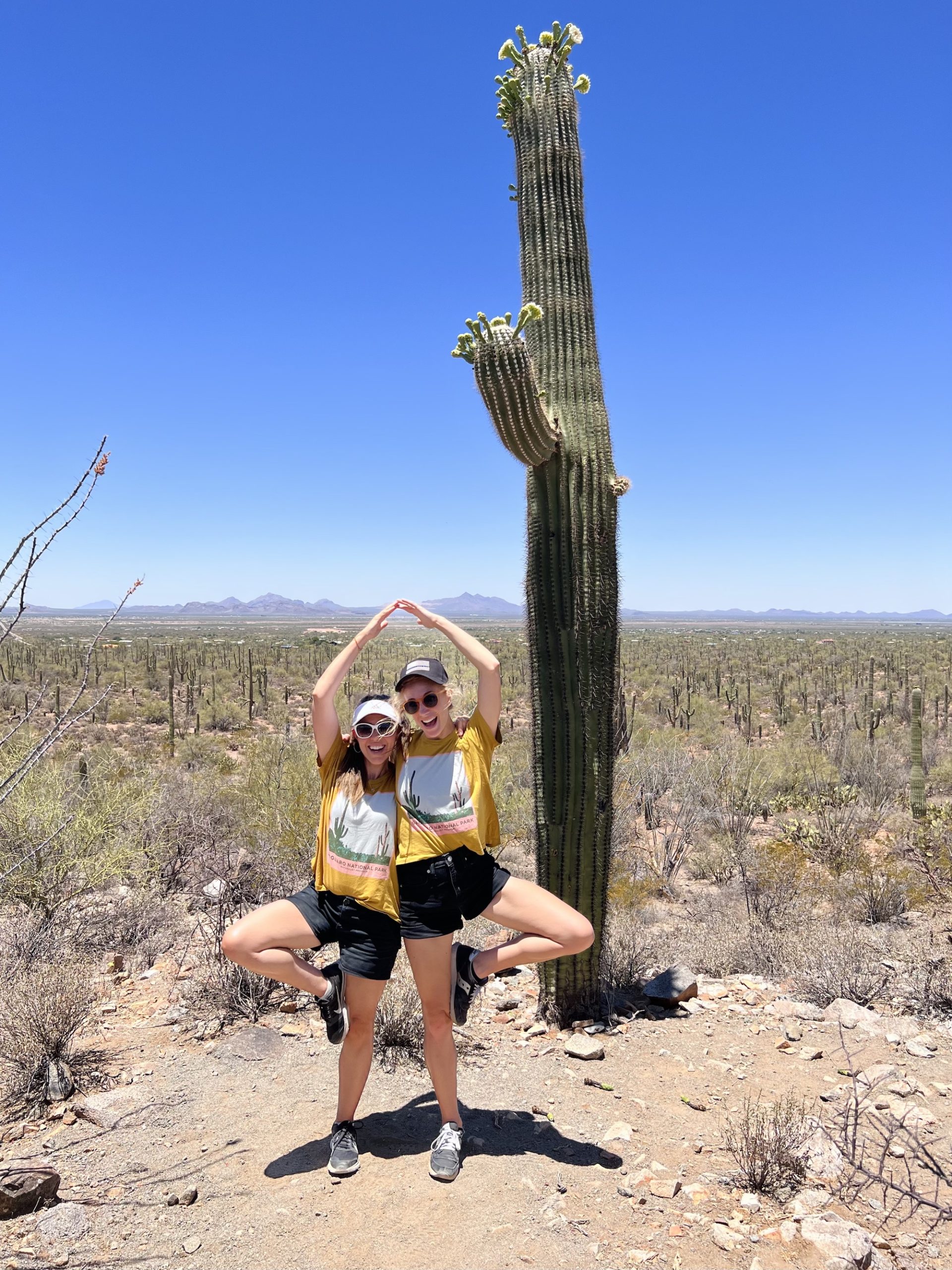 saguaro national park – National Parks Family
